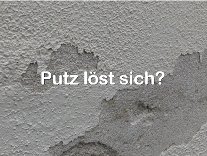 Putz Blaht Sich Auf